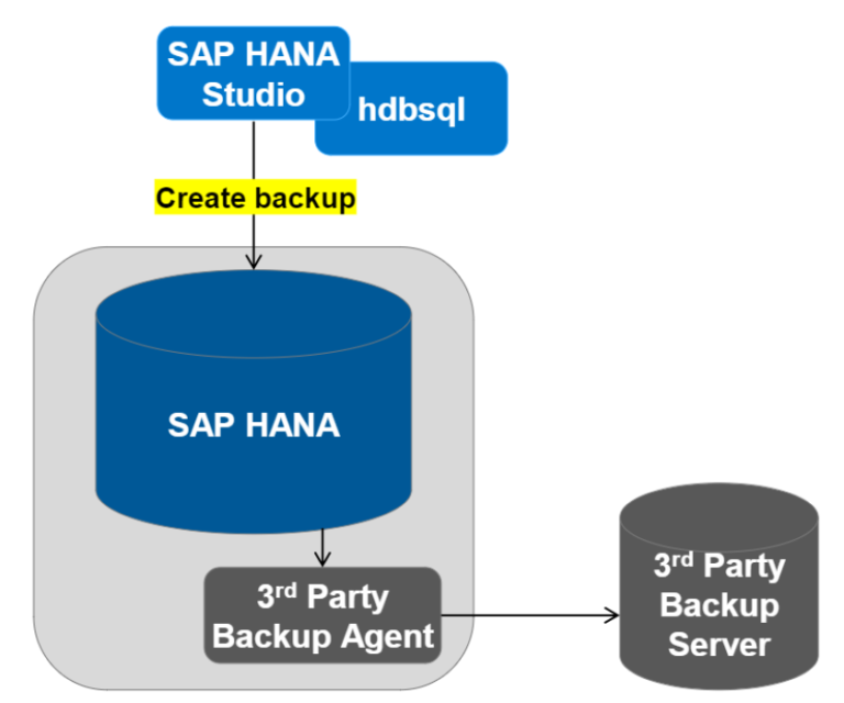 SAP HANA: Almacenando nuestros backups. - Buceando en la Memoria